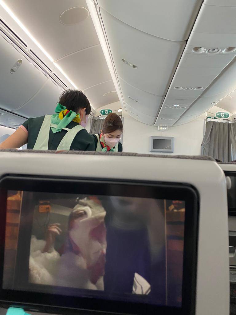 長榮航空VS中華航空Pokemon主題飛機大比拼！ 座位/飛機餐/空姐